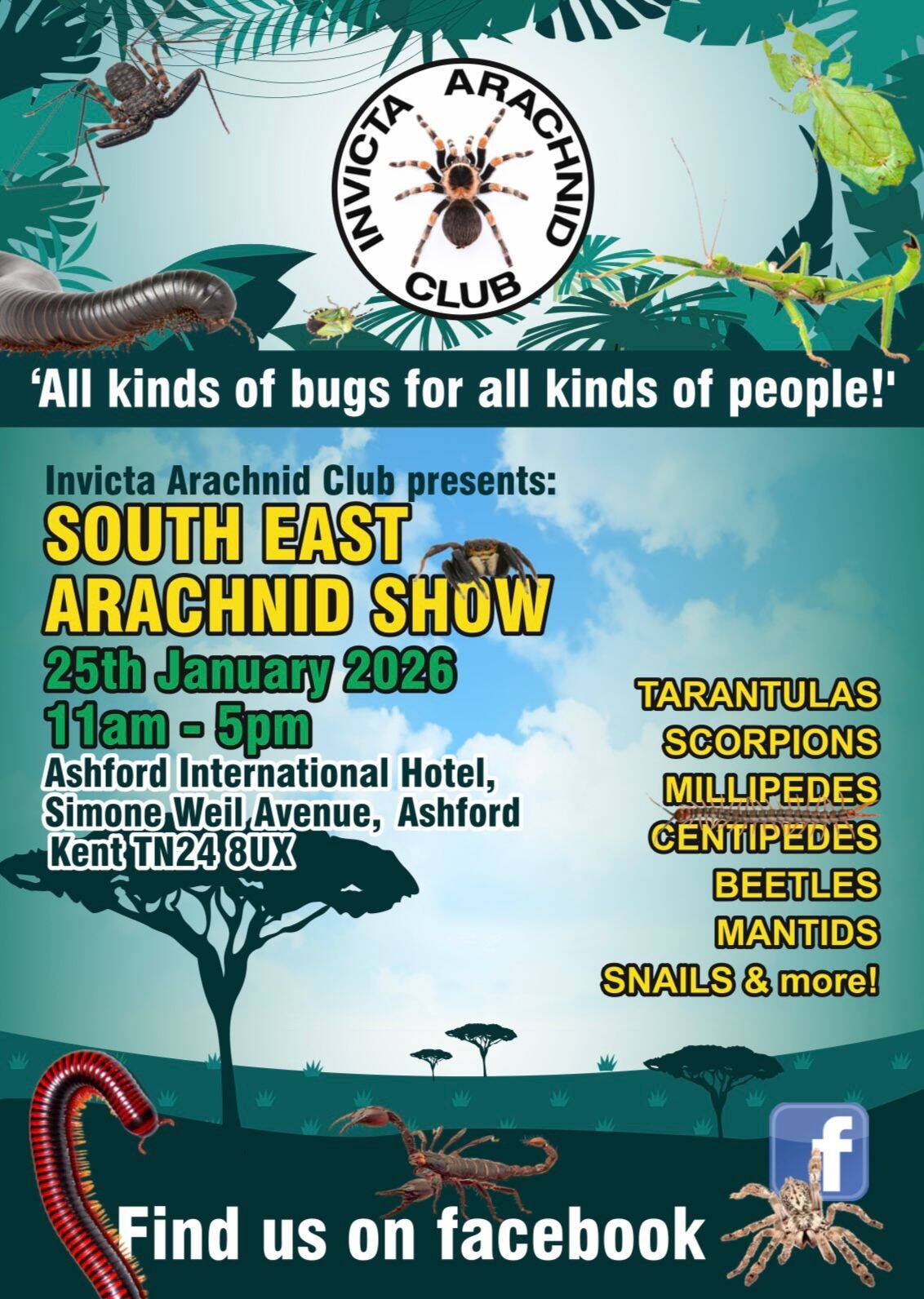 South east arachnid show